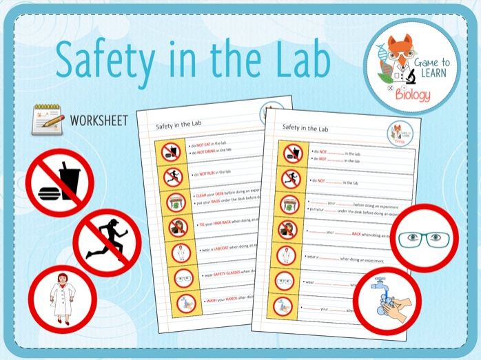 Lab Safety Rules Worksheet KS2 3 4 5 Teaching Resources