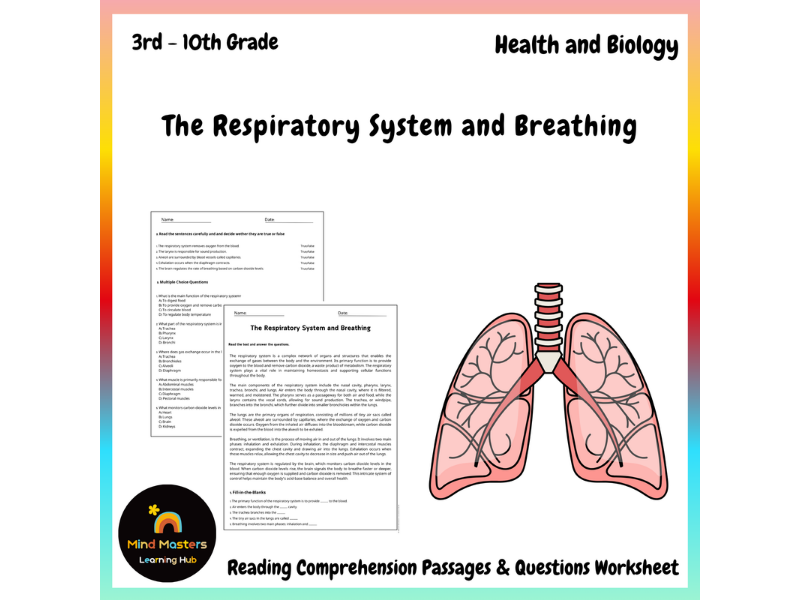 The Respiratory System and Breathing Reading Comprehension Passages ...