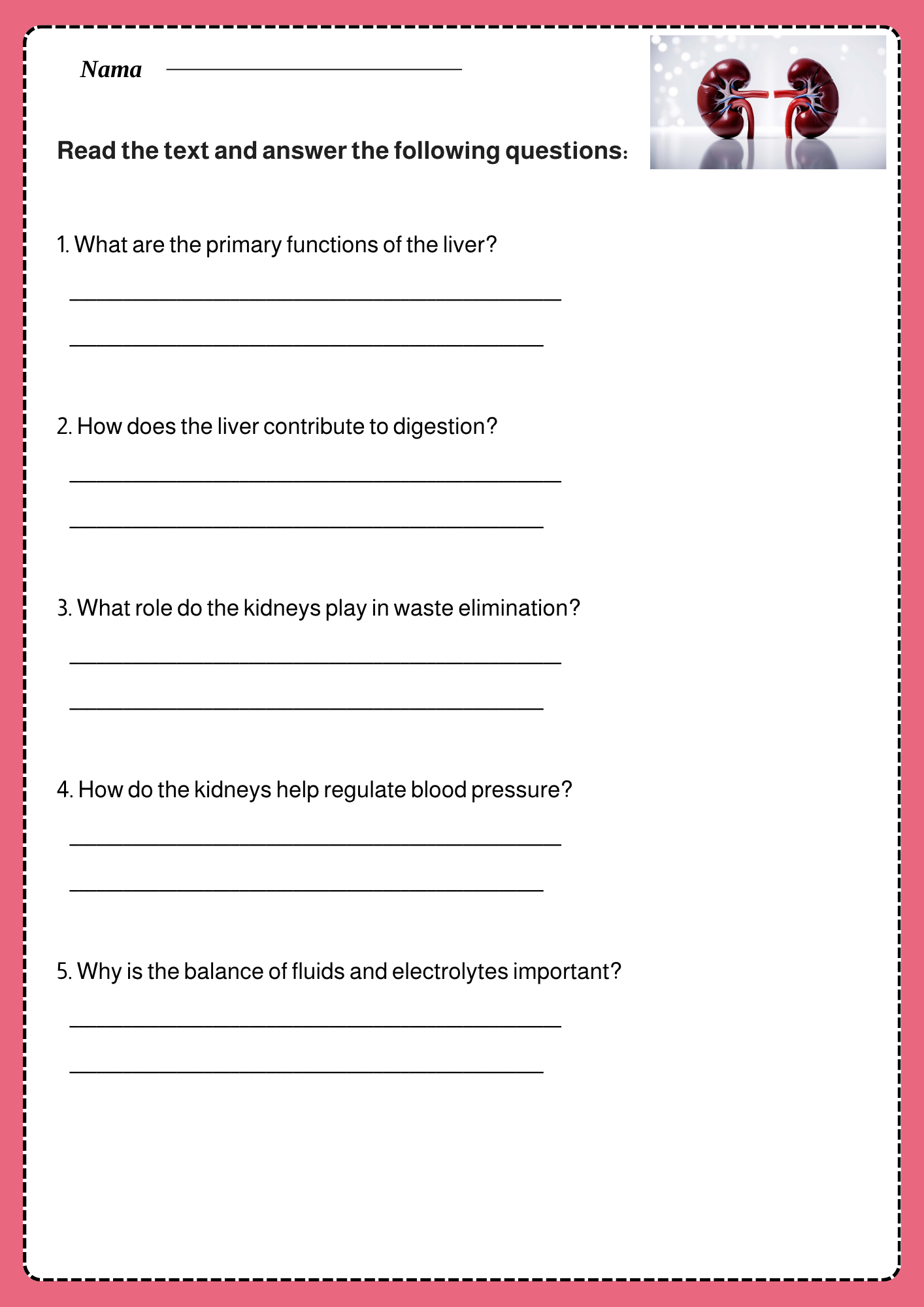 Reading Comprehension Worksheet: The Role of the Liver and Kidneys ...