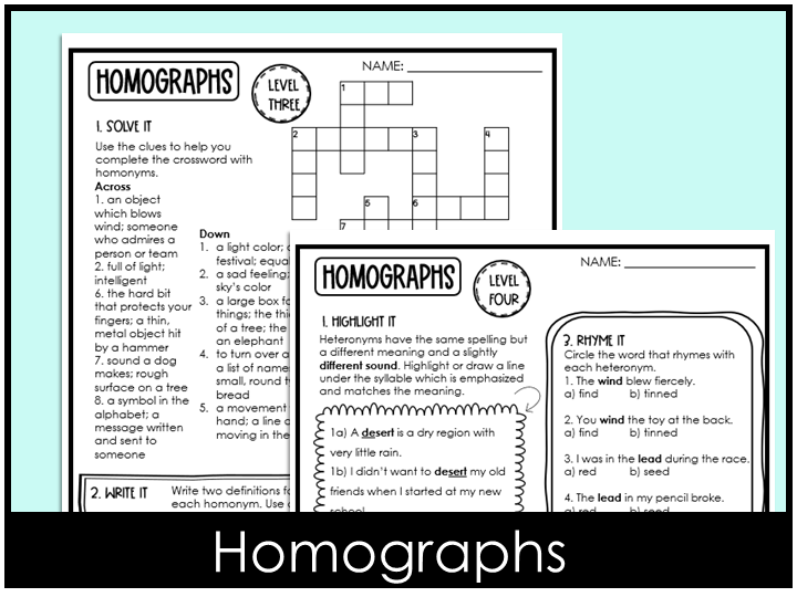 Fun Homographs Worksheets Homonyms and Heteronyms | Teaching Resources