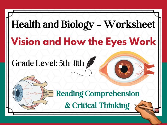 Vision and How the Eyes Work: Reading Comprehension Passages ...