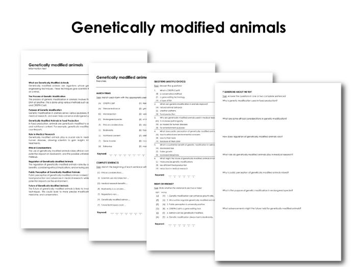 Genetically Modified Animals Diagram