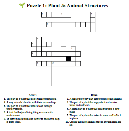 Grade 4 Science Crosswords Plant & Animal ,Weathering & Erosion,Energy ...