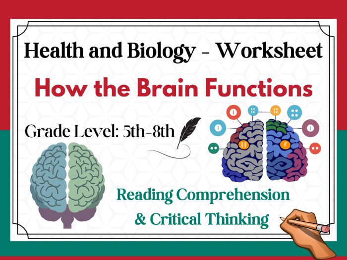 Health and Biology : Reading Comprehension Passages & Questions ...