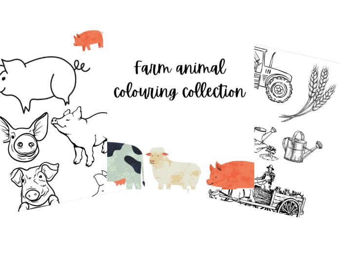 Farm Animal KS1 KS2 Colouring Sheet Teaching Resources