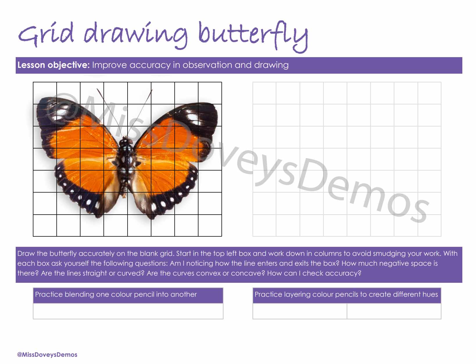 Insects and butterfly drawing, printing and photography SOL/SOW ...