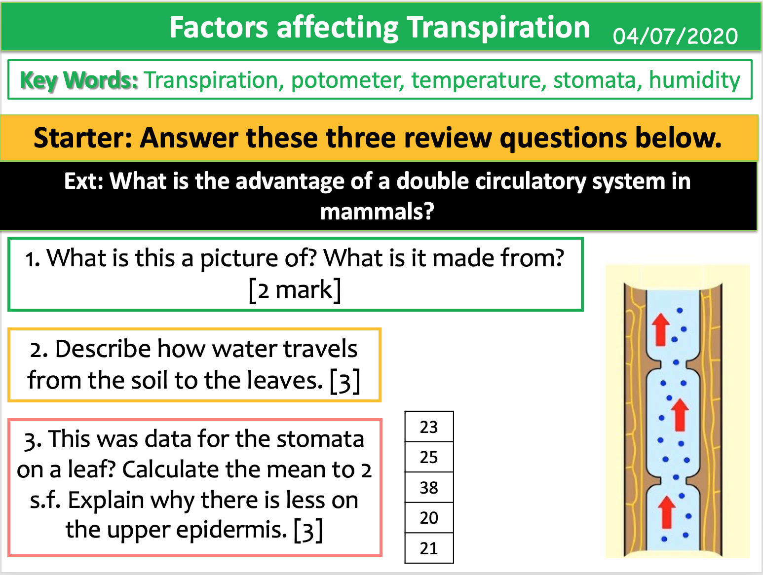 Factors affecting Transpiration | Teaching Resources