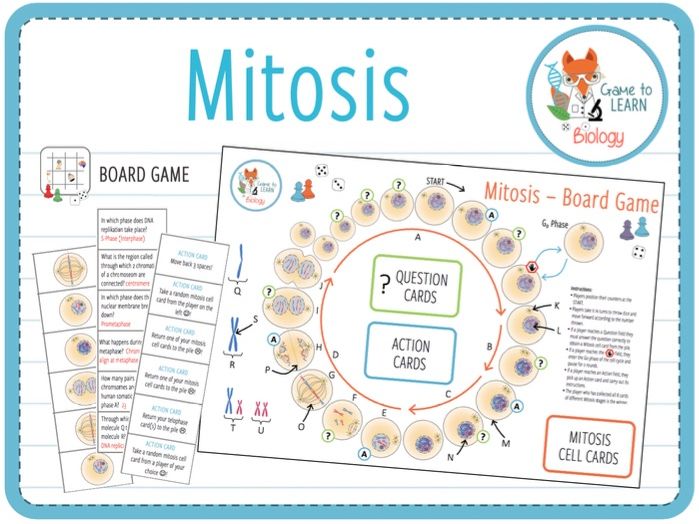 Mitosis - Board Game (KS4/5) | Teaching Resources