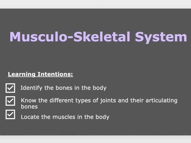 A Level PE - Musculo-skeletal System | Teaching Resources