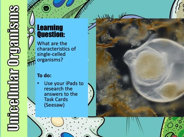 Unicellular Organisms | Teaching Resources