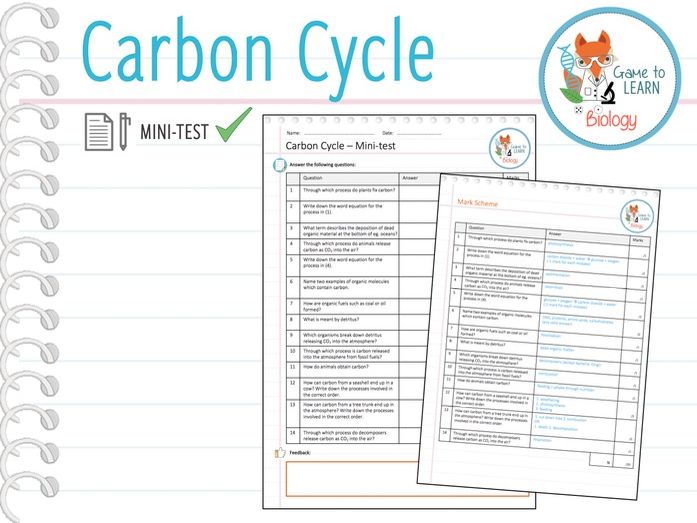 Carbon Cycle - Mini-test (KS4) | Teaching Resources