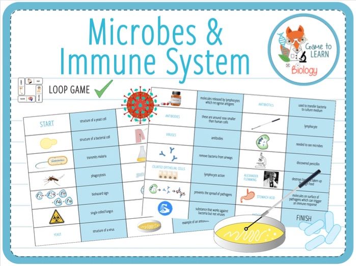 Microbes and immune system - Loop Game (KS3/4) | Teaching Resources