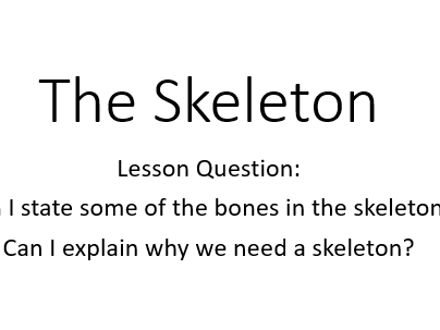 KS3 Year 7 - Structure and Function: The Skeleton | Teaching Resources
