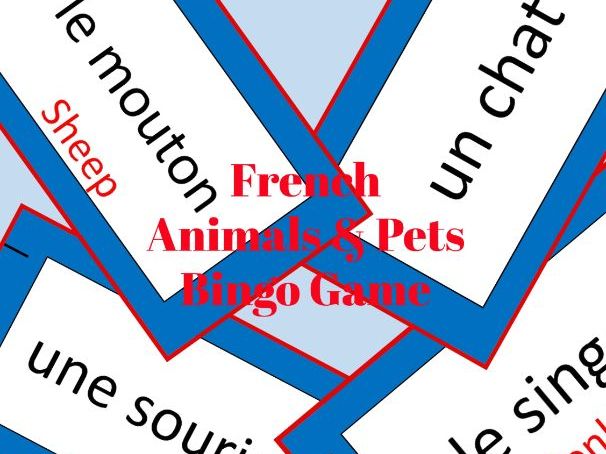 French Animals & Pets Bingo Game Activity | Teaching Resources