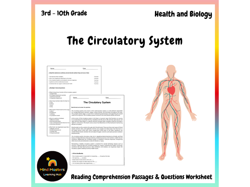 The Circulatory System Reading Comprehension Passages & Questions ...
