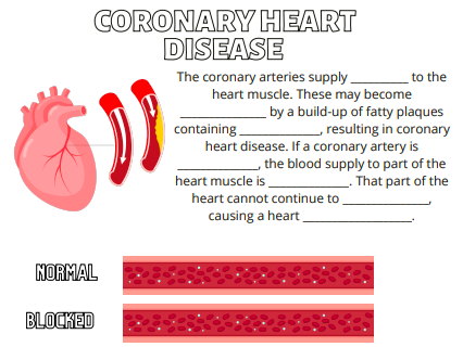 Coronary heart disease DHD worksheet | Teaching Resources