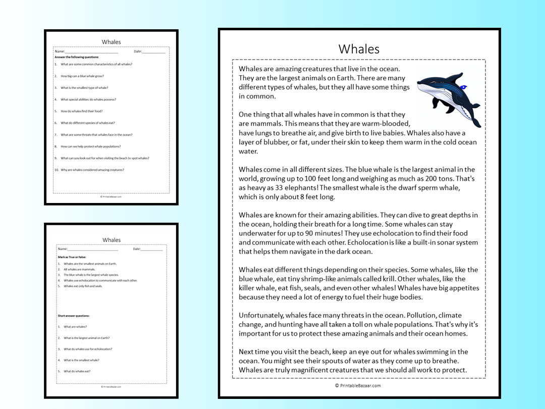 Whales Reading Comprehension Passage Printable Worksheet | Teaching Resources