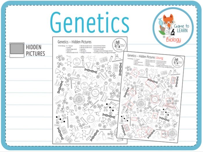 Genetics - Hidden pictures (KS4/5) | Teaching Resources