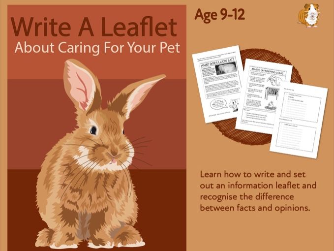 Write A Leaflet On Caring For Your Pet 9 14 Years Teaching Resources