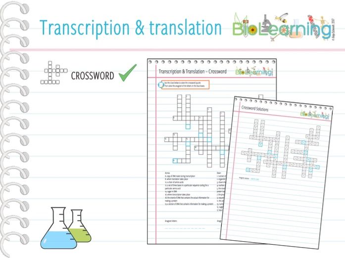 Transcription and Translation - 4x Games and activities (KS4/5 ...