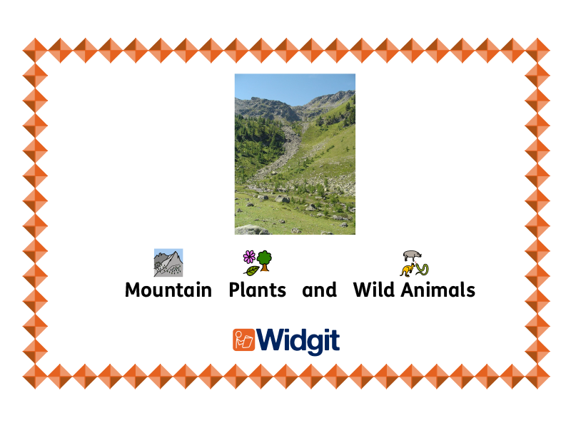 Widgit Software's Shop - Teaching Resources - TES