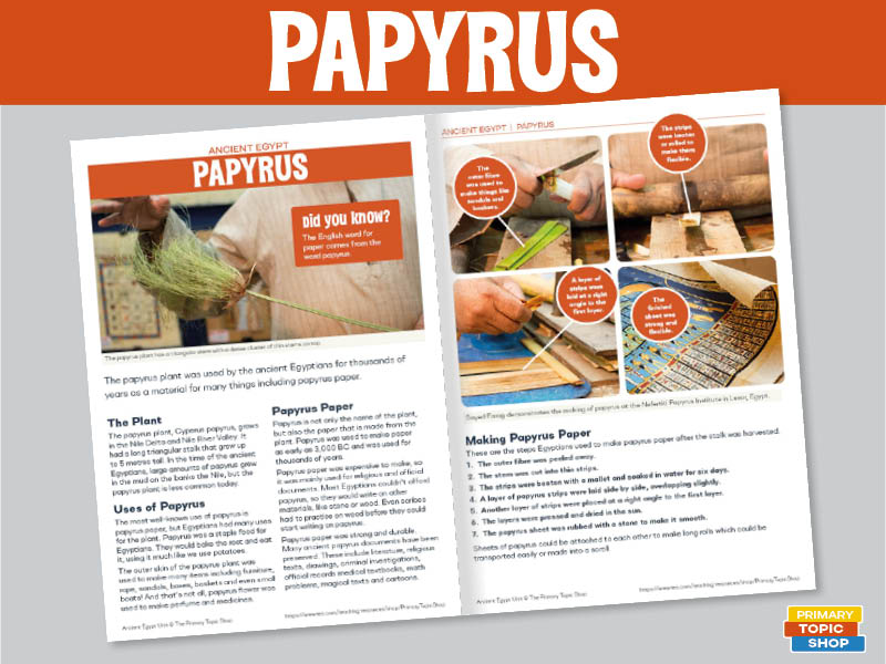 Ancient Egypt - Papyrus by PrimaryTopicShop | Teaching Resources