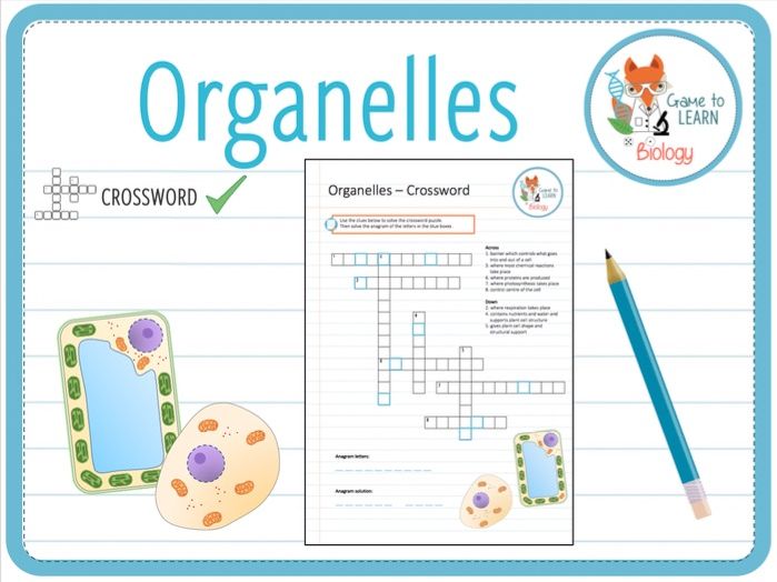 Organelles - Crossword puzzle (KS3/4) | Teaching Resources
