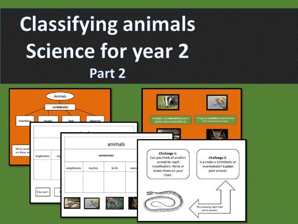 Classifying animals part 2 - year 2 | Teaching Resources
