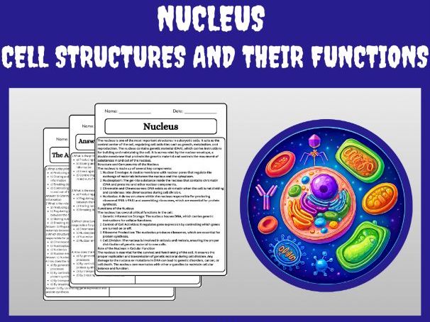 Nucleus - Cell Structures and Their Functions Reading Comprehension ...