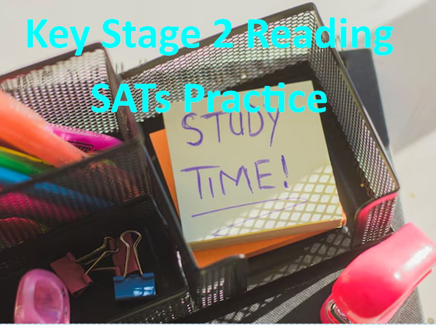 SATs Practice Reading | Teaching Resources