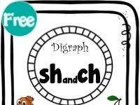Digraph sh and ch confusion | Teaching Resources