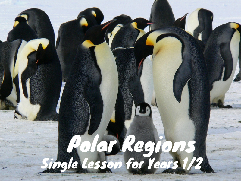 Polar Regions Single Lesson For Year 1 2 Teaching Resources
