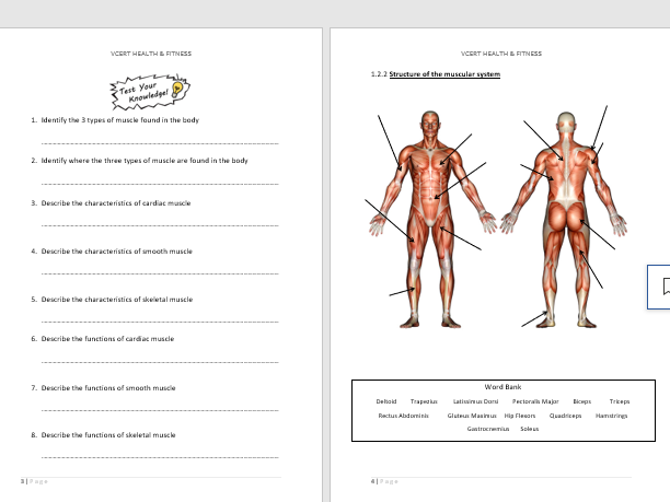 NCFE LEVEL 1/2 HEALTH & FITNESS UNIT 1.2 MUSCULAR SYSTEM PUPIL WORKBOOK ...