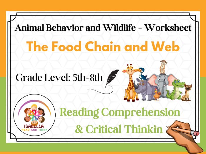 The Food Chain and Web: Reading Comprehension Passages & Questions ...