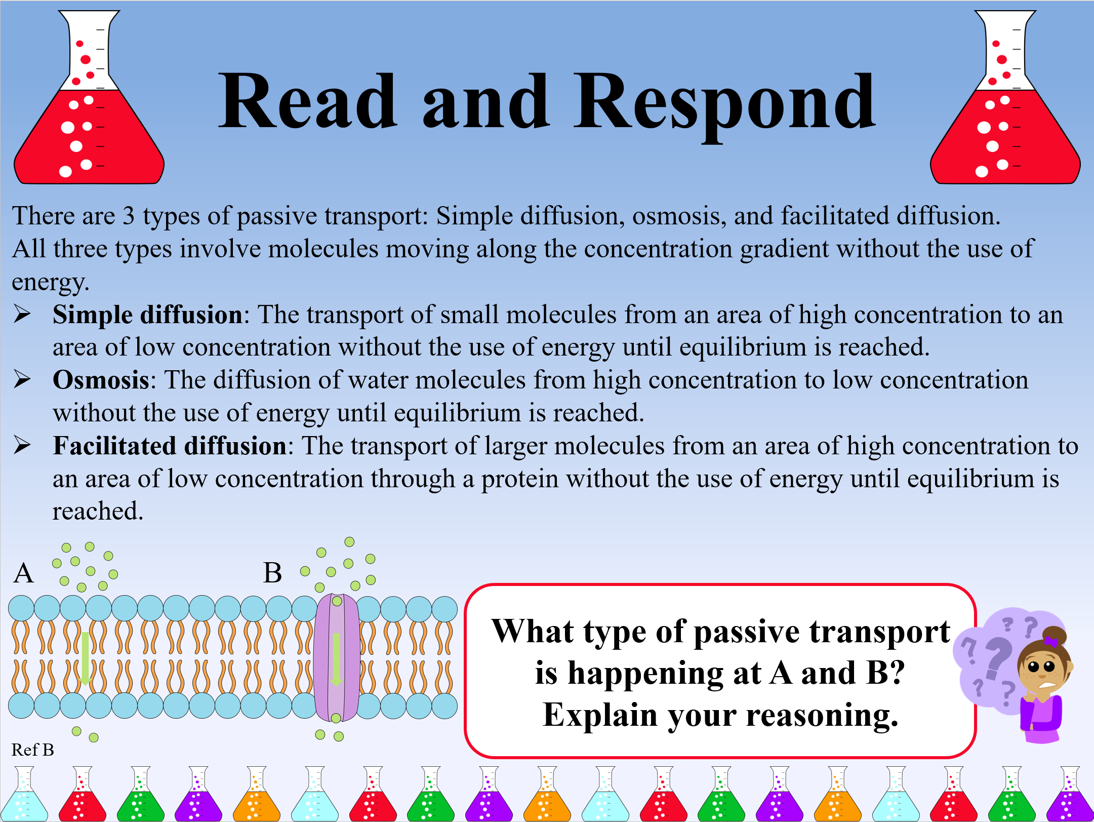 Two weeks of Cellular Transport Bellringers Warm Ups with Answer Key ...