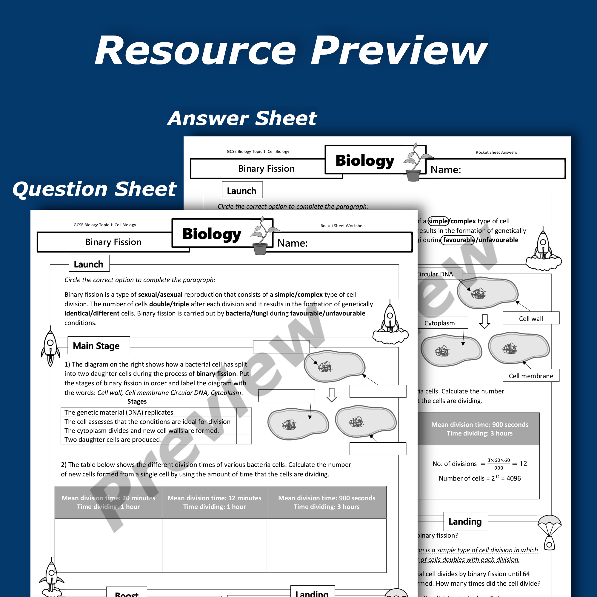 Binary Fission Home Learning Worksheet GCSE | Teaching Resources