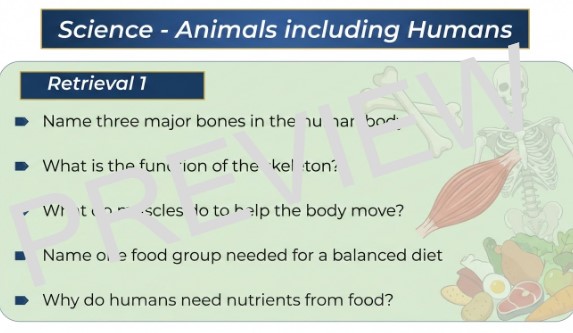 KS2 Foundation Subjects Retrieval Practice Pack (History, Geography ...
