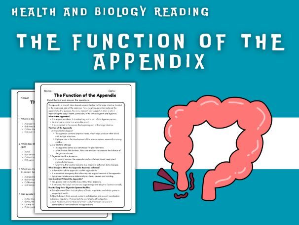 Human Body Systems & Their Functions Reading Worksheet Bundle ...