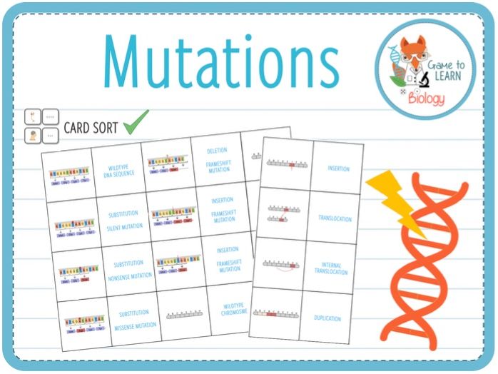 Mutations - Card Sort (KS4/5) | Teaching Resources