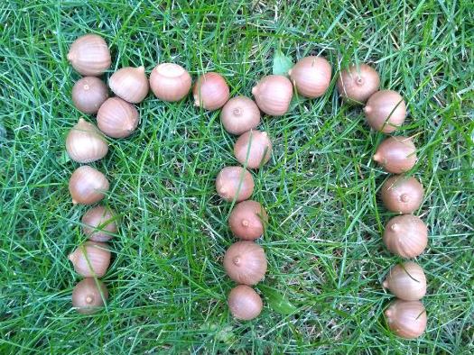 Nature alphabet with natural loose parts | Teaching Resources