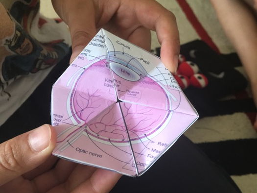 The Eye Biology GCSE Kaleidocycle Teaching Resources