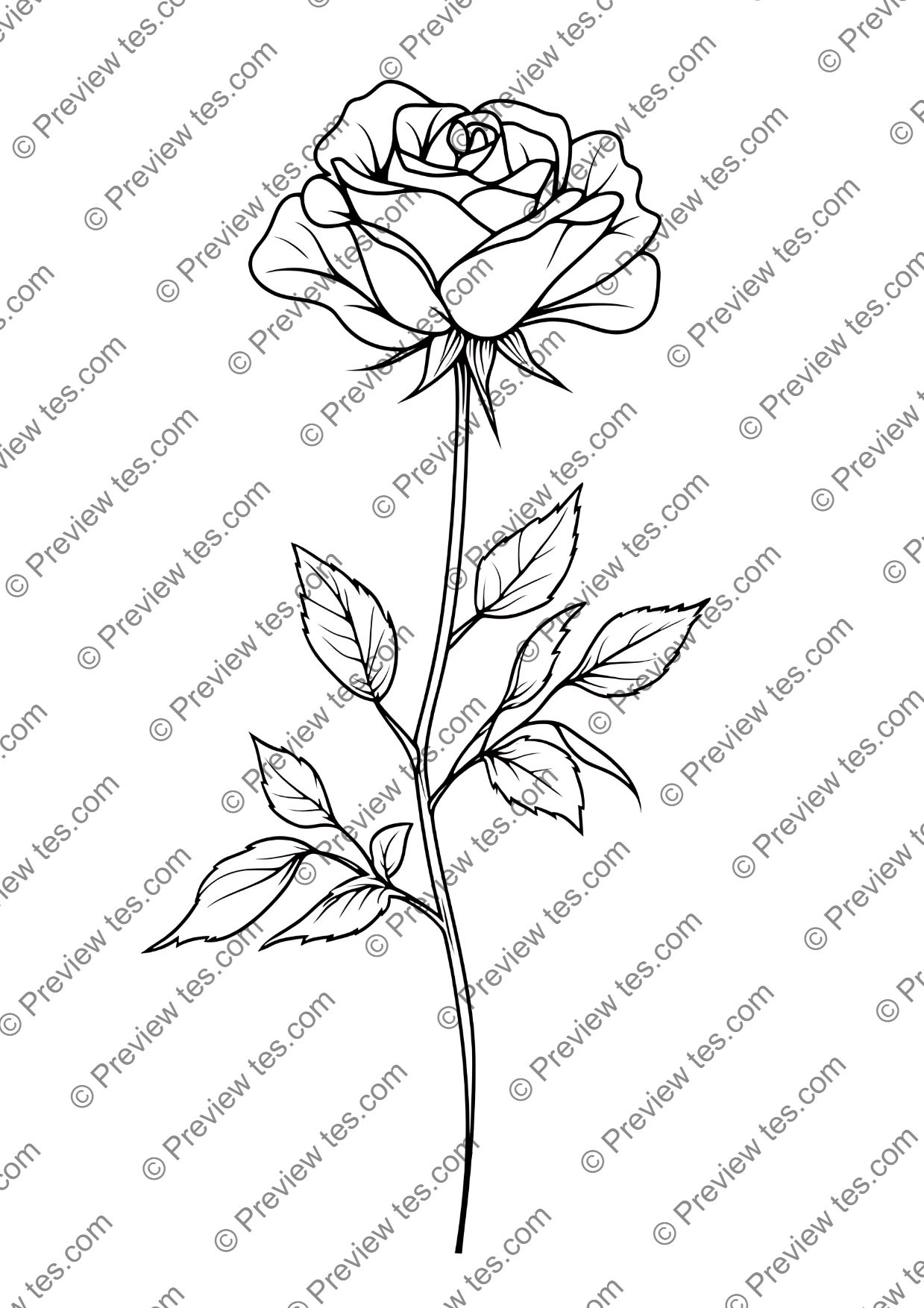 Flower Colouring Pages | Botanical Art Worksheets | Garden Science ...