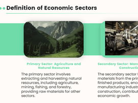 AS Level Business (9609) - 1.2.1 Economic Sectors | Teaching Resources