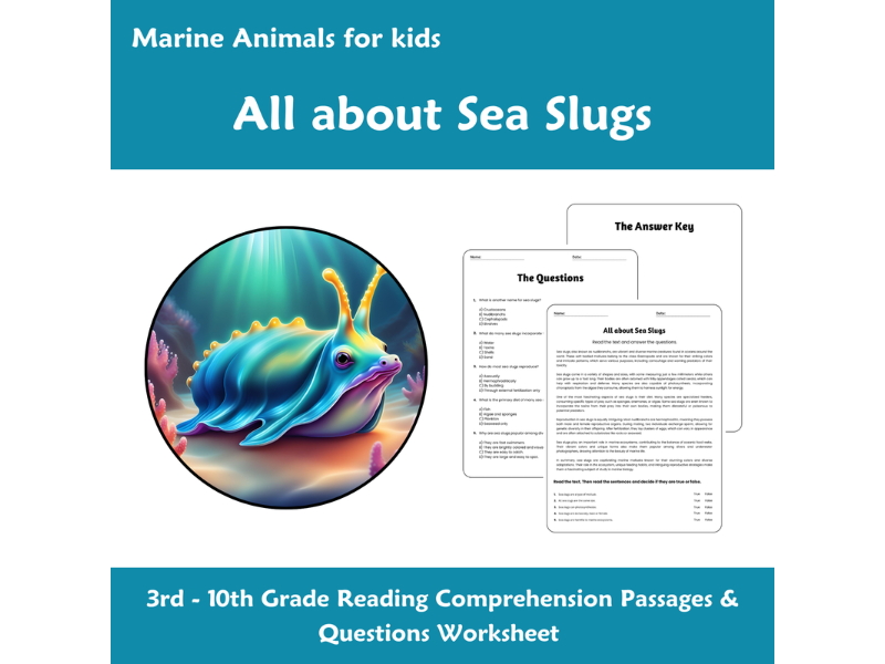 All About Sea Slugs Reading Comprehension Passages & Questions ...