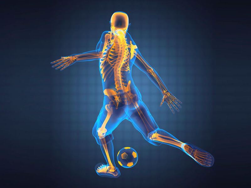 IB Sports Science Topic 3 Teaching Resources IB Sports Science Topic 3 Teaching Resources