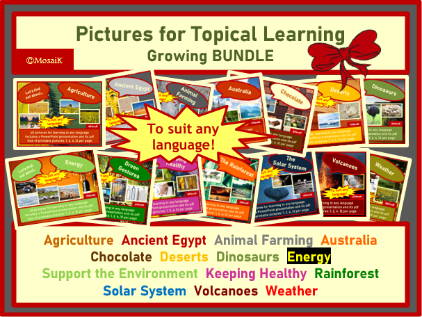 Primary Topics for learning GROWING BUNDLE | Teaching Resources