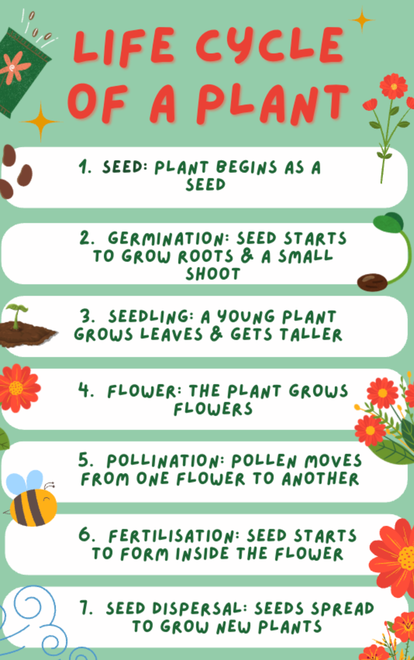 Life Cycle: Plant, Butterfly, Frog and Bee | Teaching Resources
