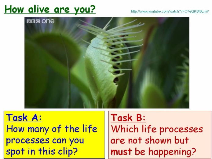 The Seven Life Processes Year 7 Lesson PowerPoint (KS3 7Aa) Mrs GREN ... The Seven Life Processes Year 7 Lesson PowerPoint (KS3 7Aa) Mrs GREN ...