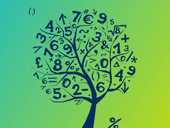 A Level Maths Revision