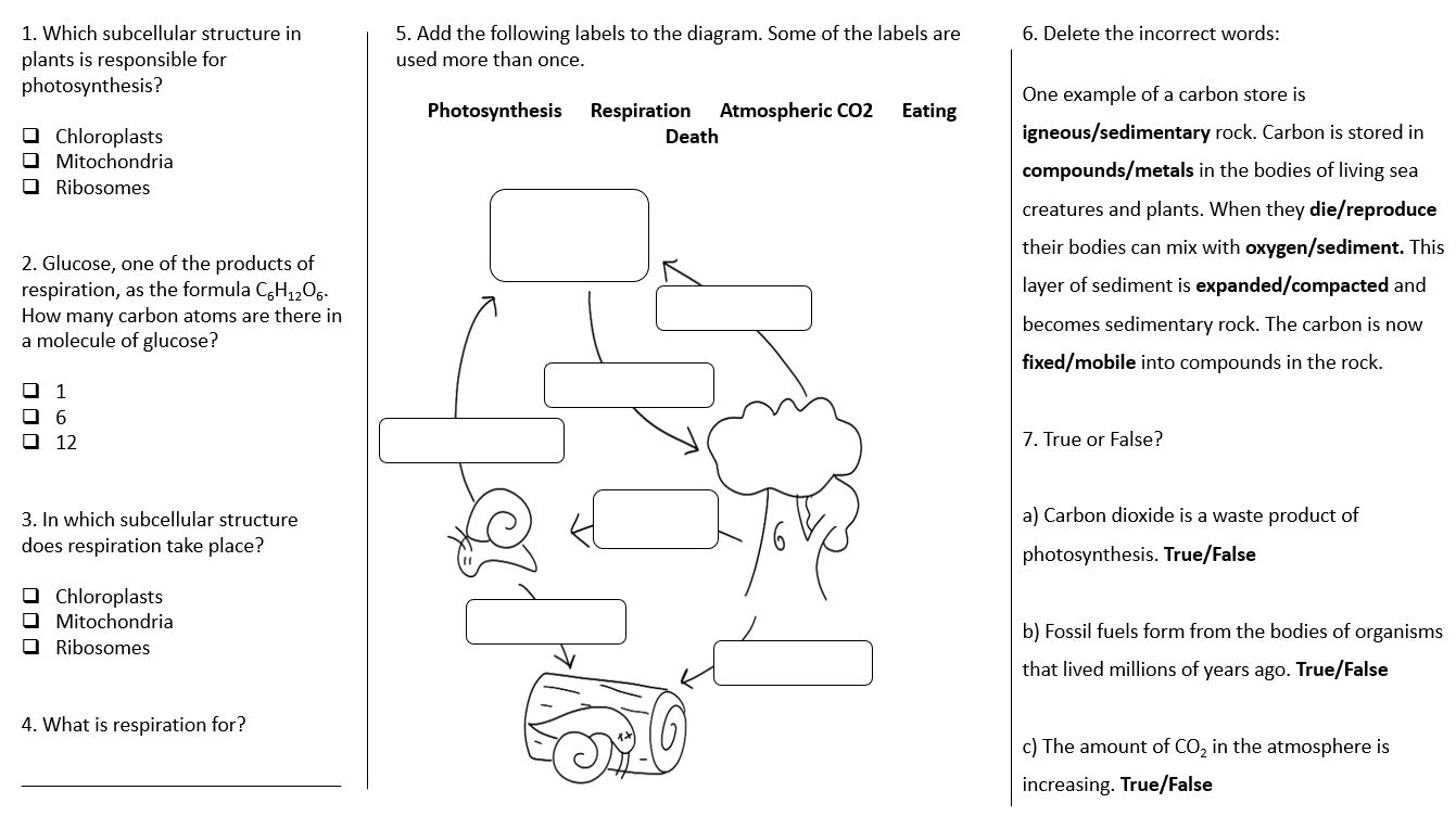 Carbon Cycle ~ KS3 ~ Year 8 | Teaching Resources
